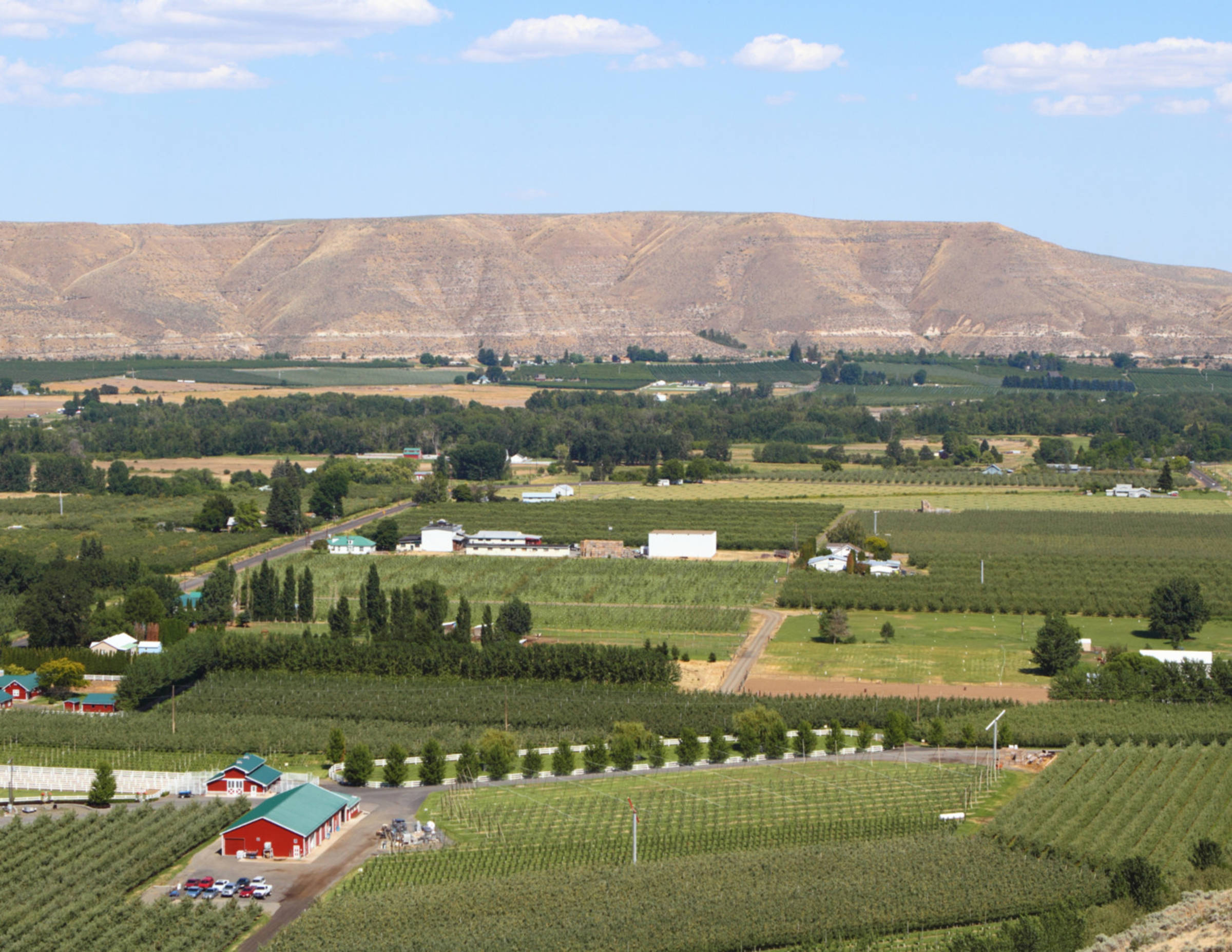 About OIC - OIC of Washington